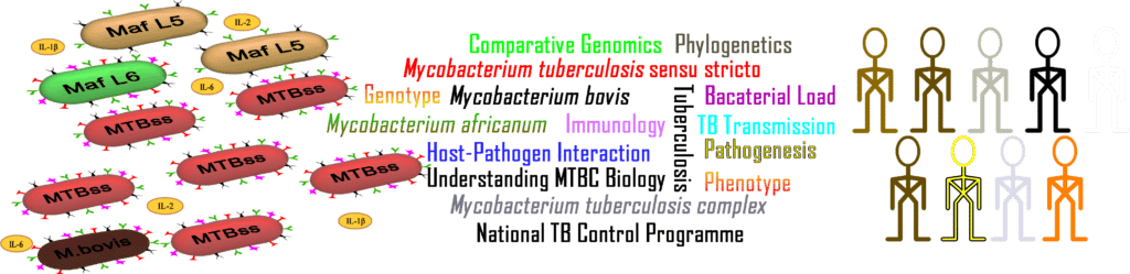 Basic Tuberculosis Research The Noguchi Memorial Institute For
